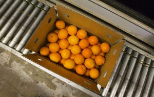 How to send Samples to a Foreign Buyer – Official Blog of iiiEM