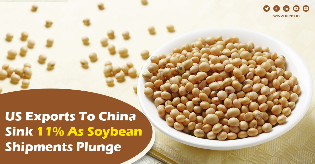 US exports to China sink 11% as soybean shipments plunge – Official ...