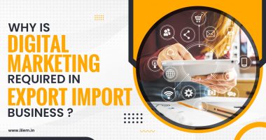 Why Is Digital Marketing Required In Export Import Business? – Official ...