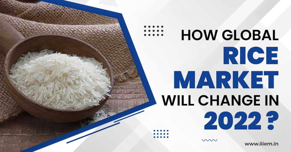 How Global Rice Market Will Change in 2022? – Official Blog of iiiEM